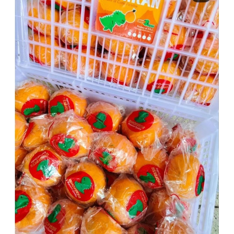 Jual Jeruk Ponkam Dino 8 kg | Shopee Indonesia