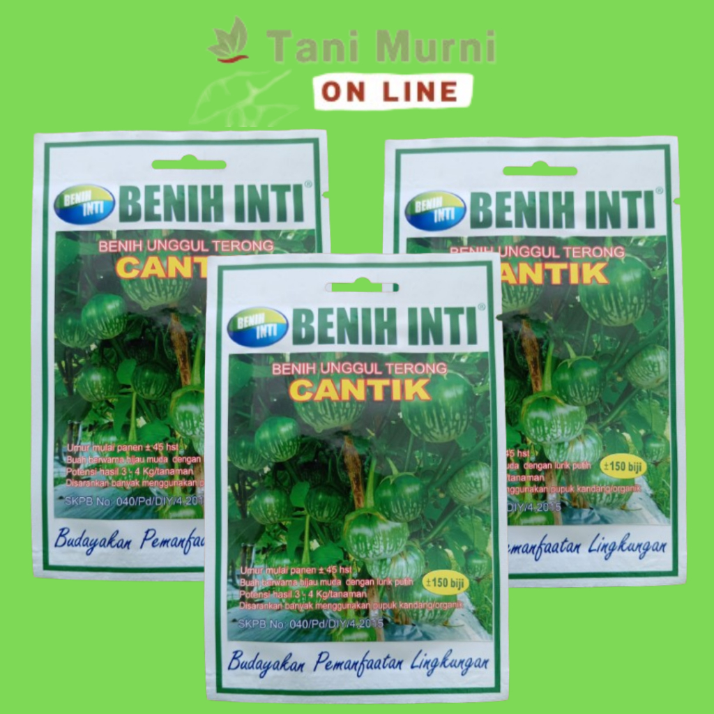 Jual Benih Terong Lalap Unggul CANTIK Benih Inti 150 Biji | Shopee ...