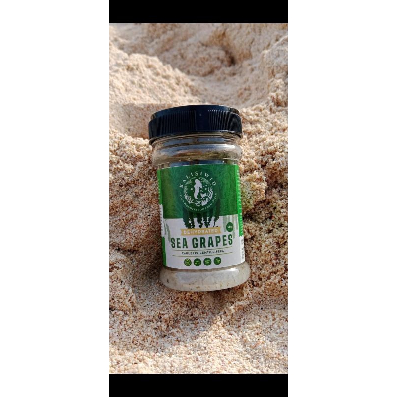 Jual ANGGUR LAUT DEHYDRATE exp 2026 / LATOH / LAWI LAWI / sea greap ... Jual ANGGUR LAUT DEHYDRATE exp 2026 / LATOH / LAWI LAWI / sea greap ...