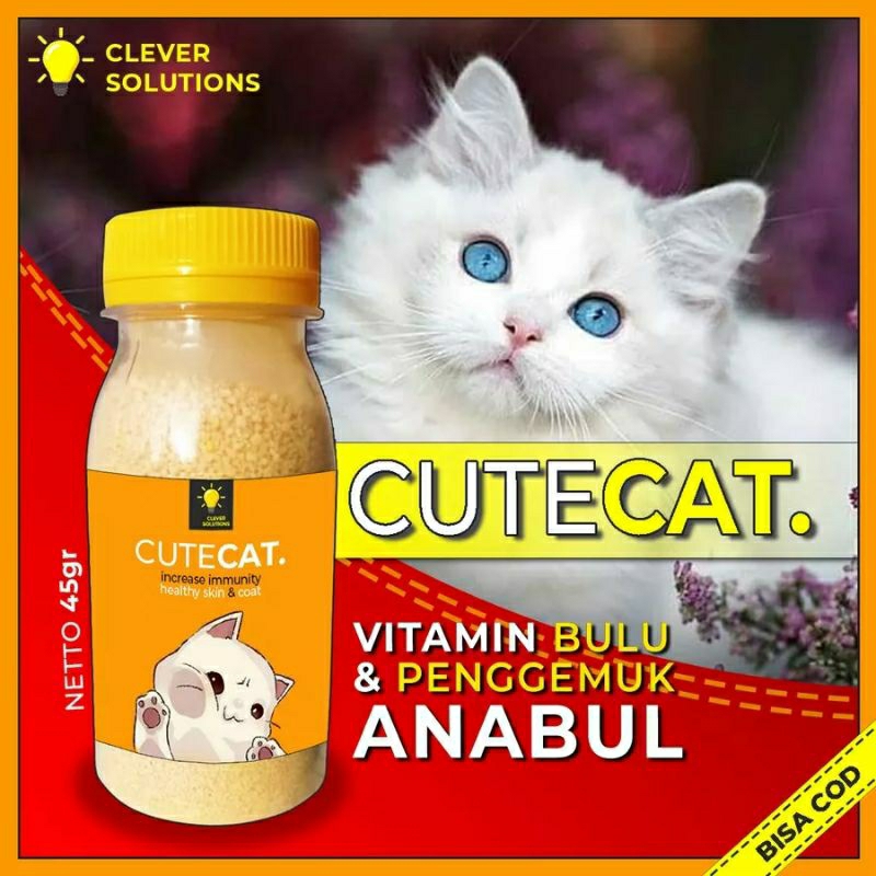 Jual Vitamin Penggemuk dan Bulu Kucing Penumbuh Bulu Kucing Pelebat ...