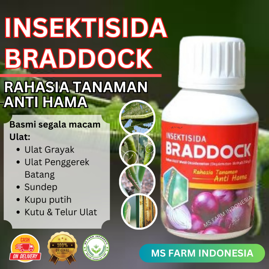 Jual BRADDOCK INSEKTISIDA - Pengendali Hama Ulat Grayak, Penggerek ...