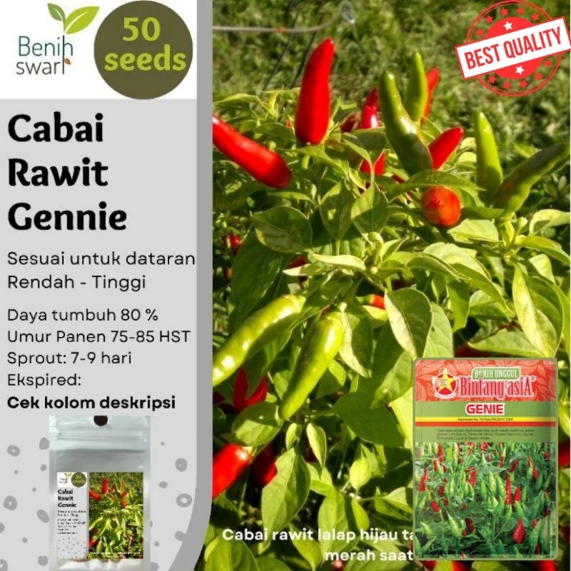 Jual Benih Swari: (isi 50 butir) Benih Cabe / Cabai Lalap Hijau Gennie | Shopee Indonesia