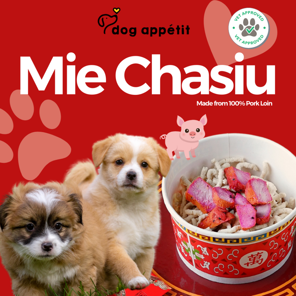 Jual DOG APPETIT - Mie Chasiu Babi Panggang untuk Anjing Kucing Snack ...