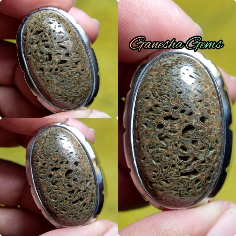 Jual Natural Petrified Wood 16.90 Ct - Fosil Kayu Akar Mimang | Shopee ...