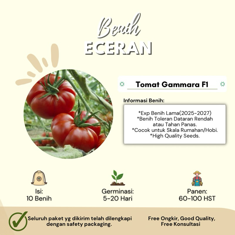 Jual 10 Benih Tomat Keriting GAMMARA F1 - Benih Eceran by ...
