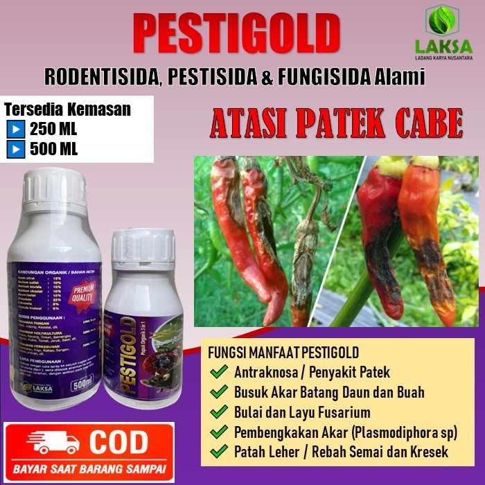 Jual PESTIGOLD obat semprot atasi penyakit patek pada cabe/cabai rawit ...