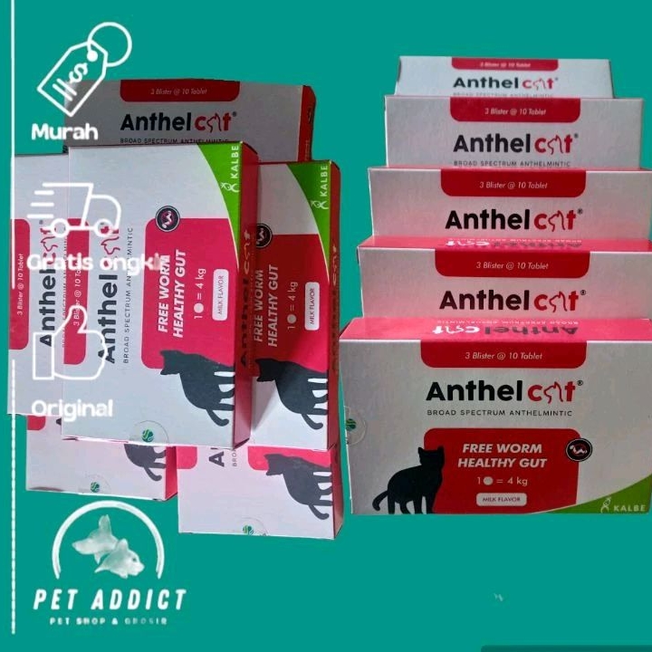 Jual [1 BOX] Anthel Blister Isi 30 Tablet Obat Cacing untuk Kucing ...