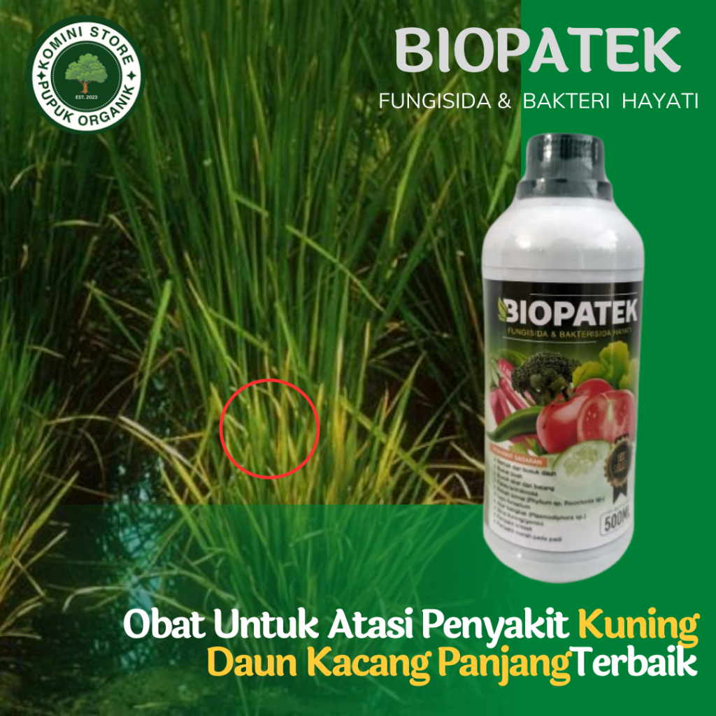 Jual PUPUK BIOPATEK FUNGISIDA PADI KERDIL DAUN KUNING MANJUR Pupuk Padi Daun Kuning/Virus Kuning ...