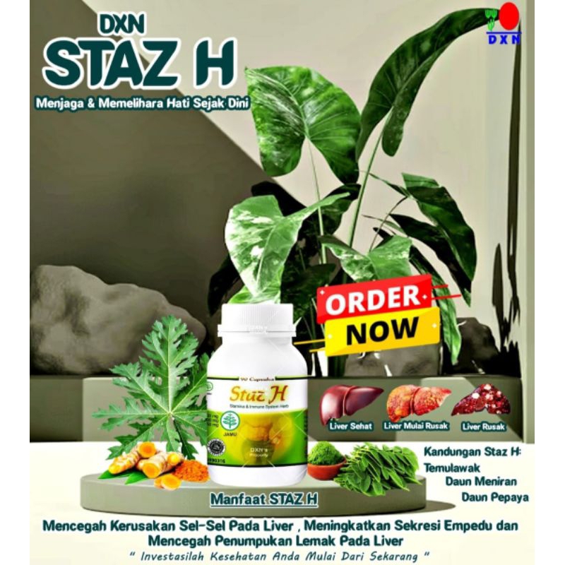 Jual Staz H 90 kapsul kapsul DXN menetralkan racun pada hati liver | Shopee Indonesia