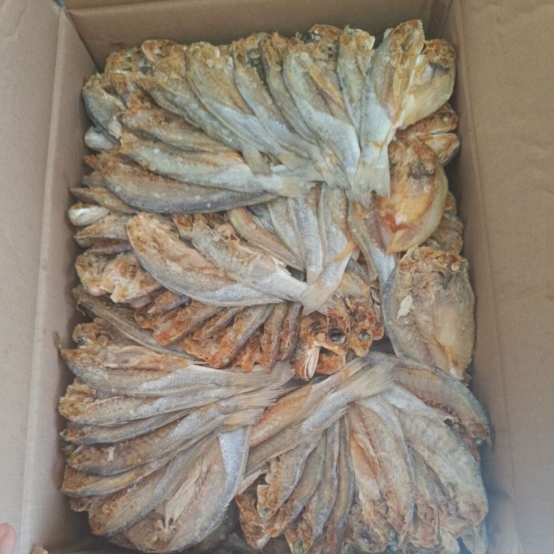 Jual kepala batu belah250gram | Shopee Indonesia