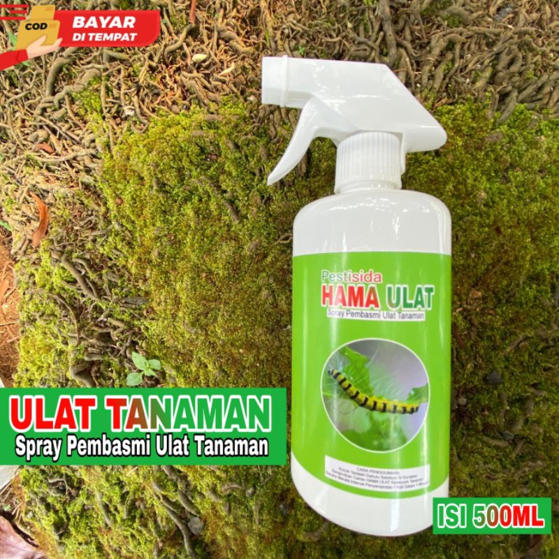 Jual PESTISIDA Spray Pembasmi Hama Ulat Tanaman | Ulat Bulu | Hama Kutu ...
