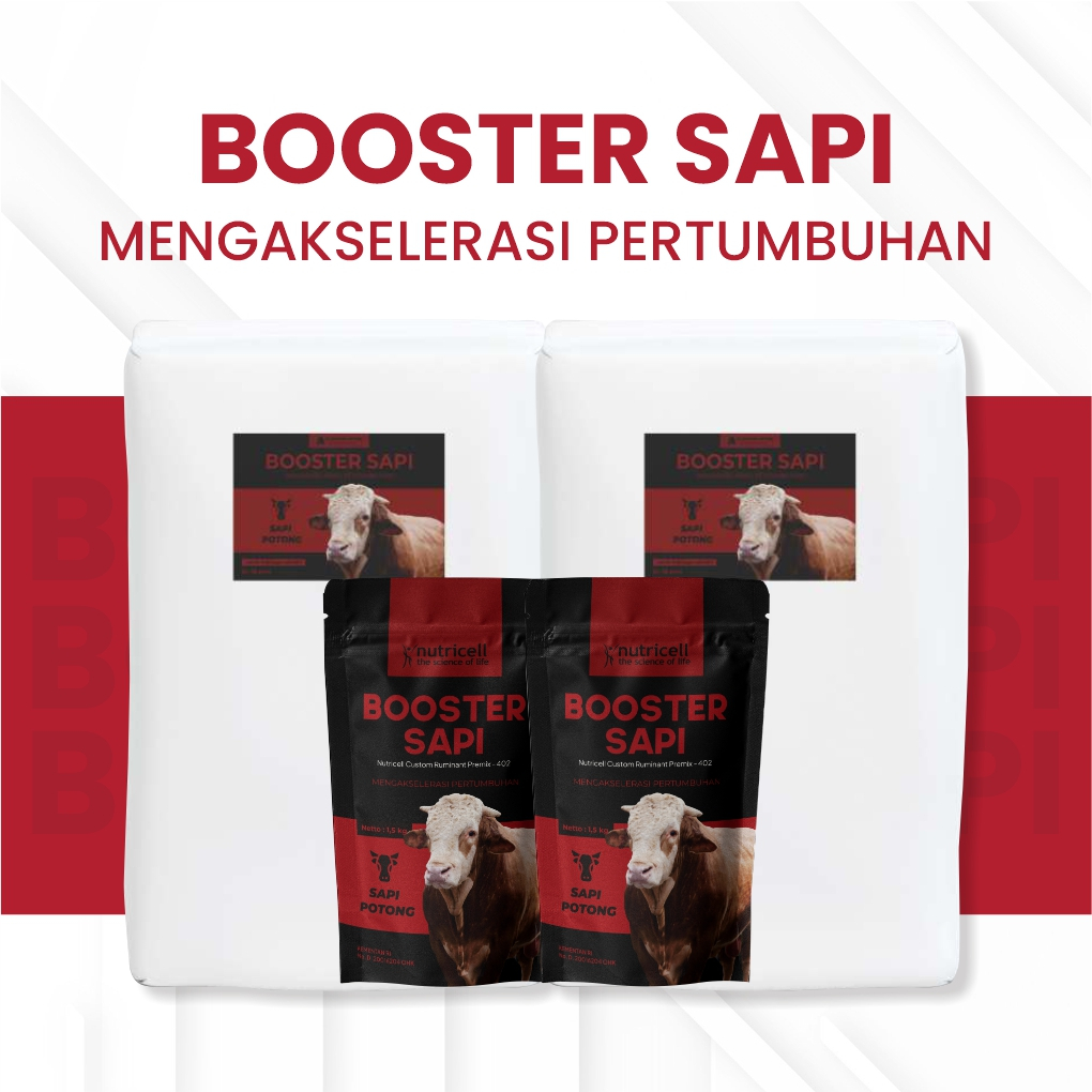 Jual BOOSTER SAPI PREMIX UNTUK SAPI | Shopee Indonesia