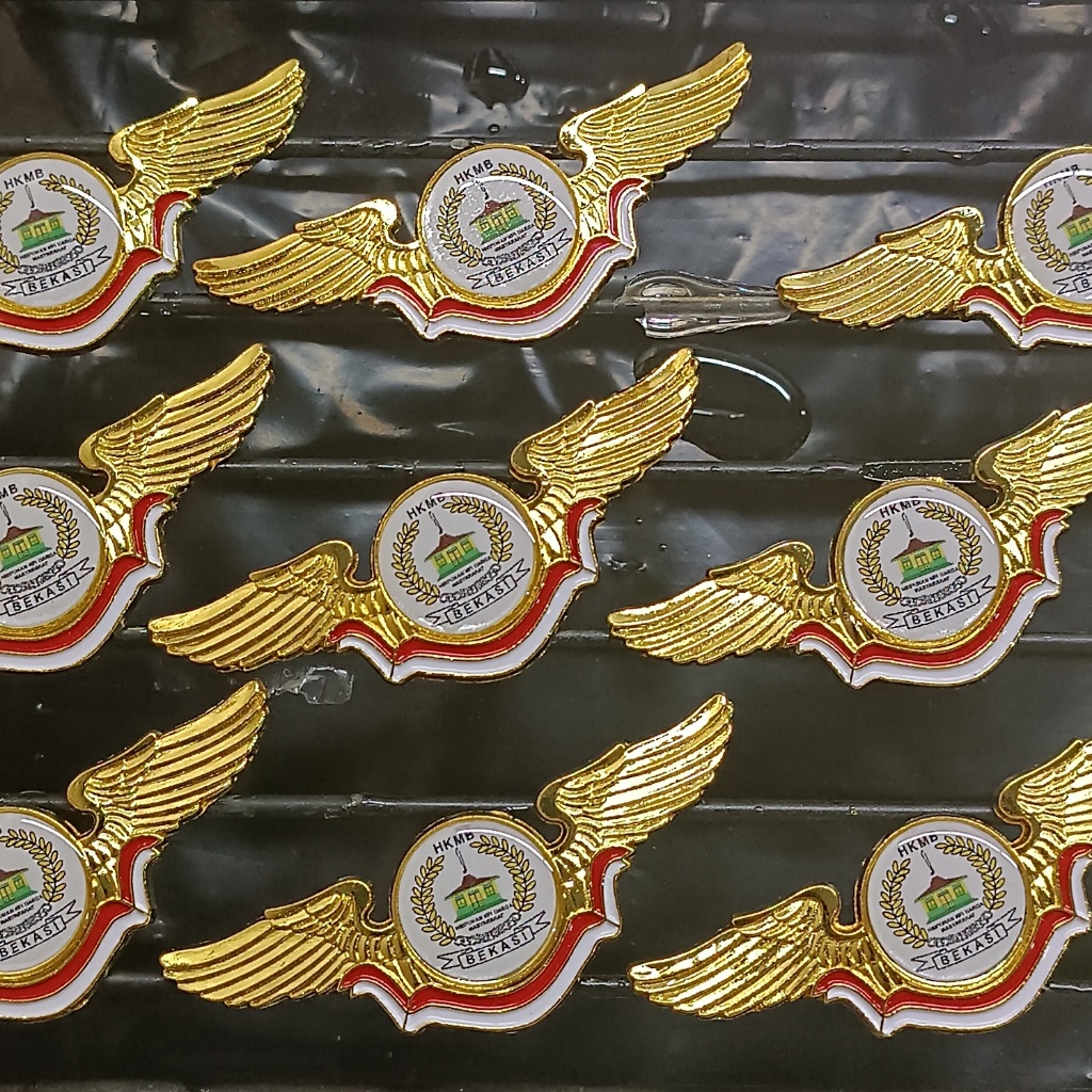 Jual Pin Sayap Baru Dengan Logo Pin Custom Logo Resin Pin Kuningan ...