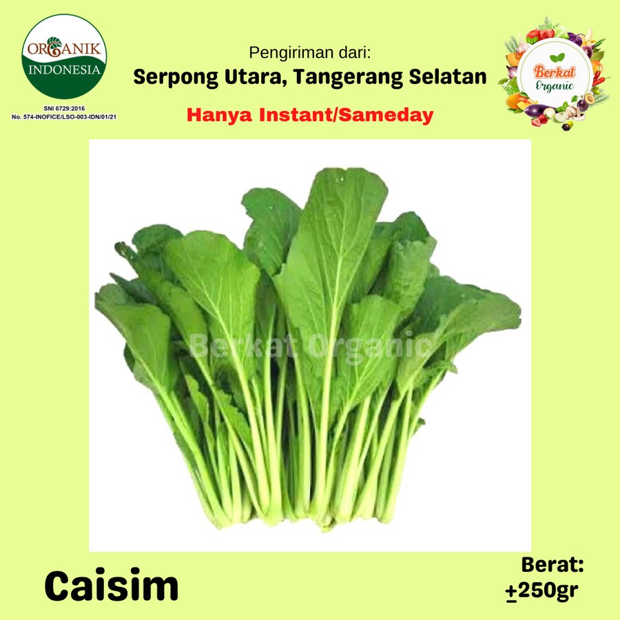 Jual CAISIM Organic /pack (~250gr) | Shopee Indonesia