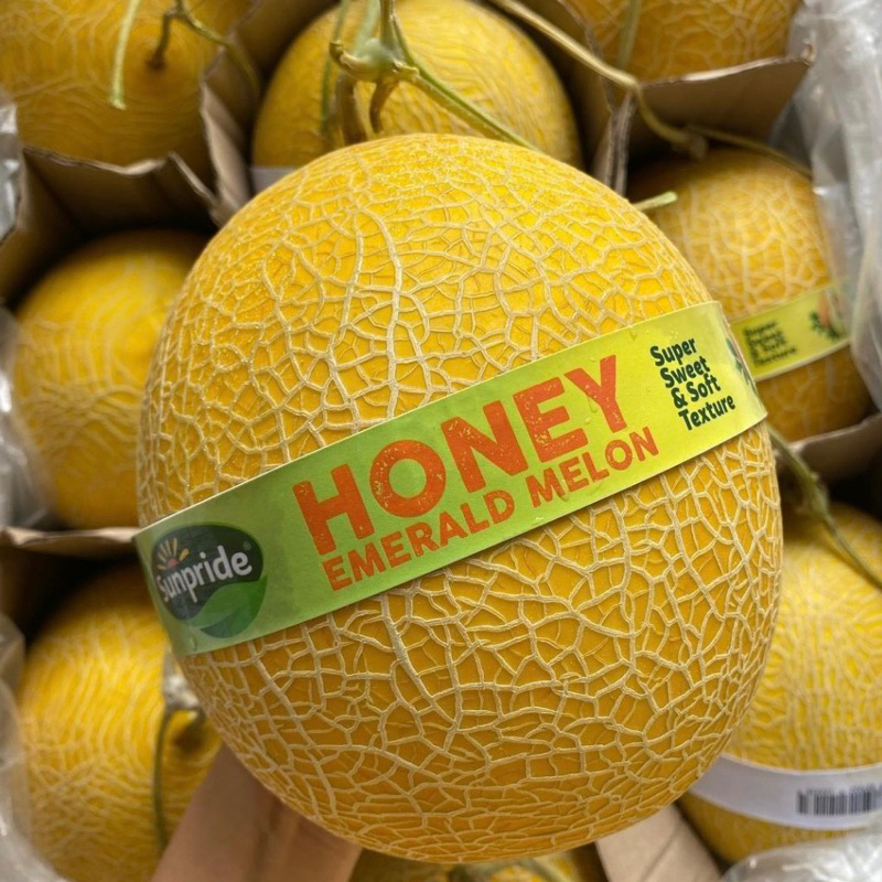 Jual Melon Maniss Honey Emerald Green House Sunpride 1Pcs | Shopee Indonesia