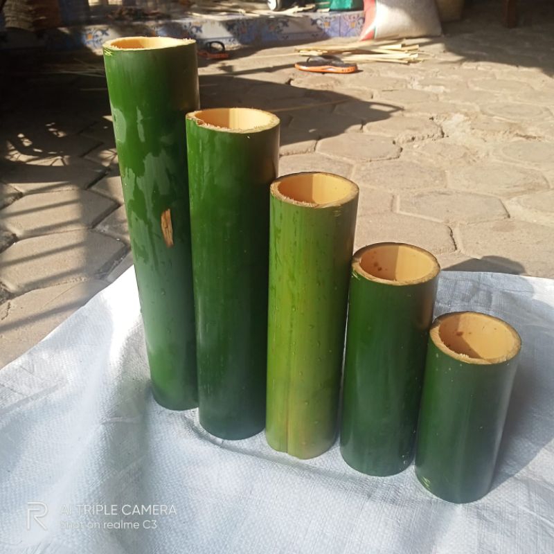 Jual bambu potongan/bambu hijau/bambu kerajinan | Shopee Indonesia