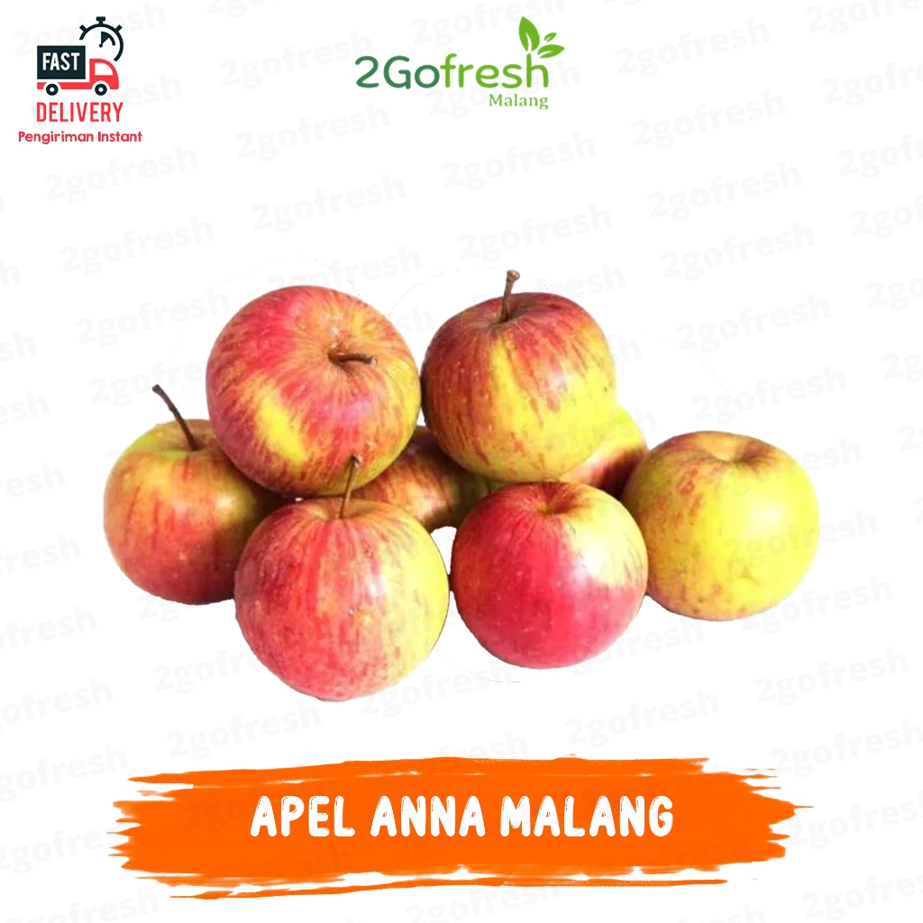Jual Buah Apel Anna / Ana Malang Fresh - Rempah Sayur Sayuran & Buah ...
