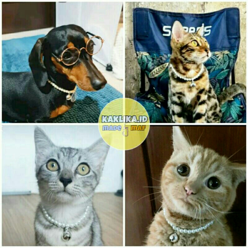 Jual Kalung Hewan Mutiara Sintetis /kalung kucing /kalung anjing ...