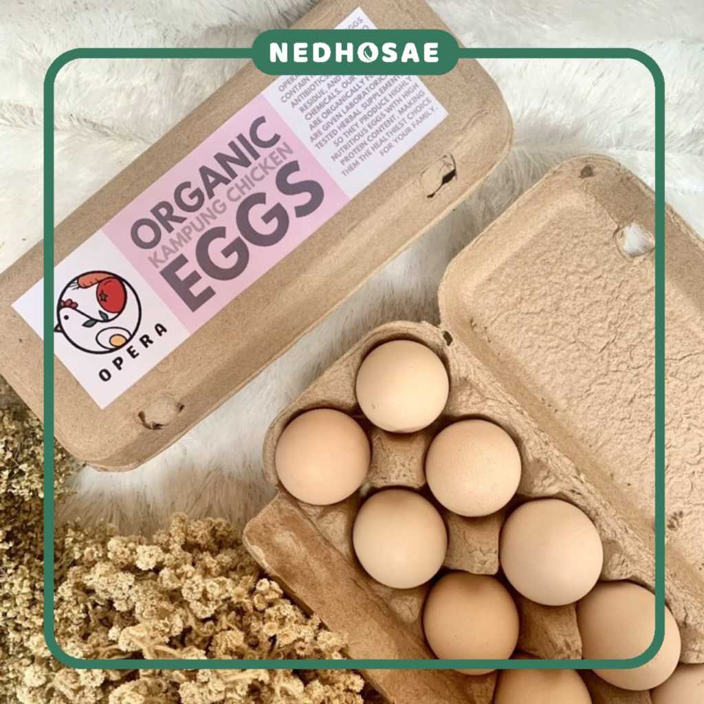 Jual TELUR AYAM KAMPUNG ORGANIK OPERA | TELUR AYAM BROILER ORGANIK ...
