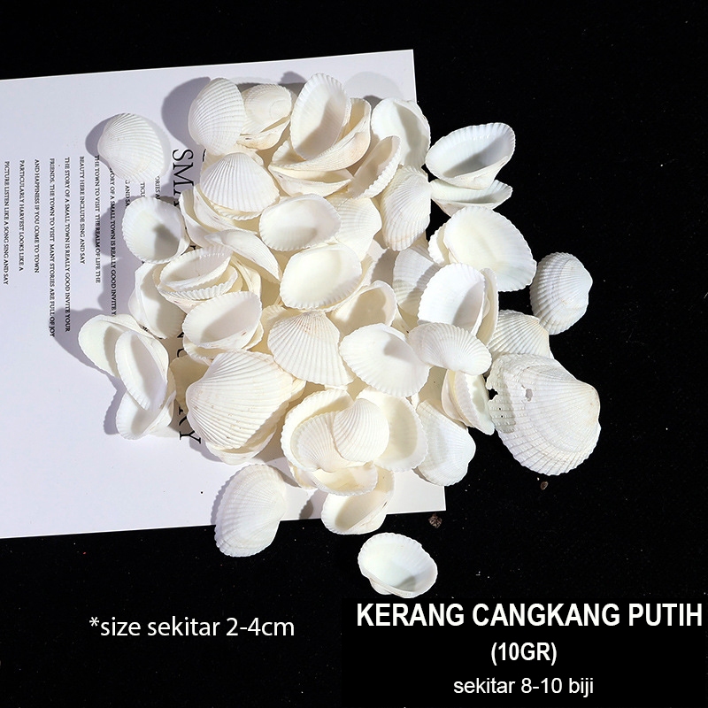 Jual Topping Pasir Kerang Bintang Laut Isian Resin Pantai Hiasan Manik ...