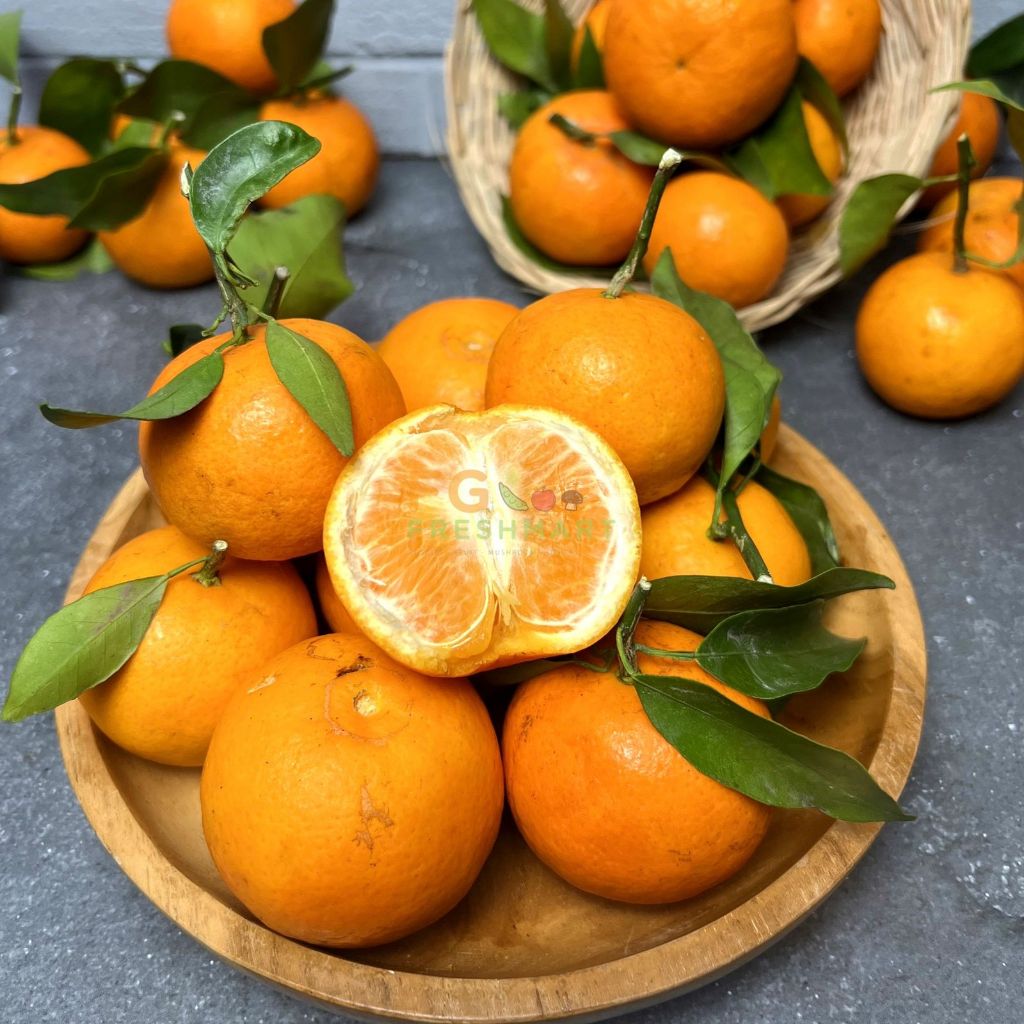 Jual Jeruk Wogan Mandarin Mini 1kg | Shopee Indonesia