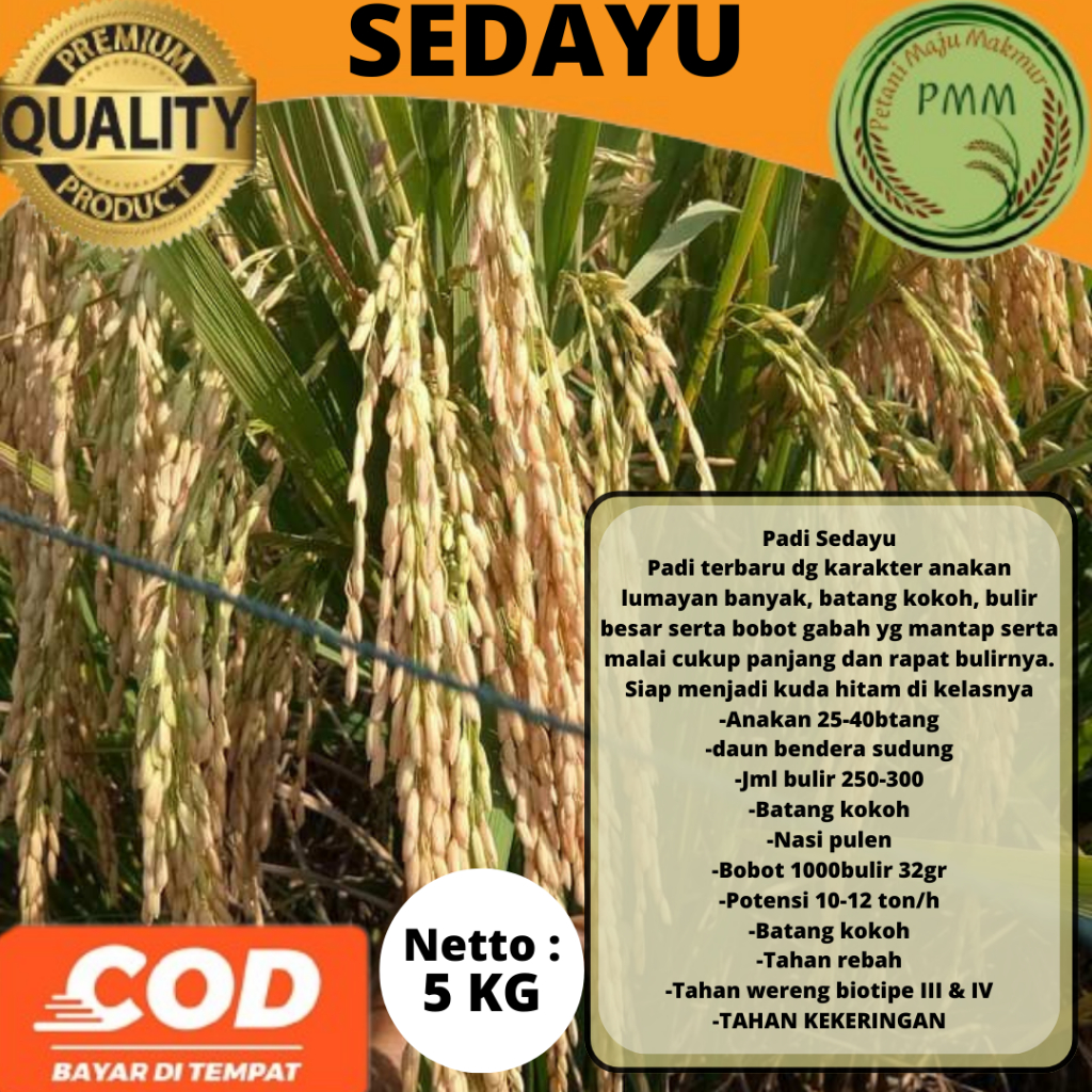 Jual Biji Padi Unggul Sedayu 5KG | Shopee Indonesia
