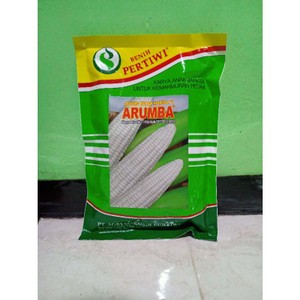 Jual BENIH JAGUNG KETAN/PULUT ARUMBA PERTIWI 250 GRAM HIBRIDA F1 ...
