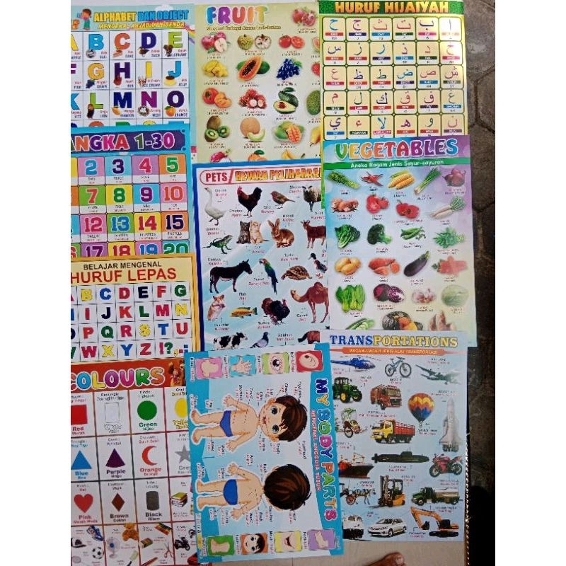 Jual Poster Edukasi Anak / Poster Paket 10 Lembar | Shopee Indonesia