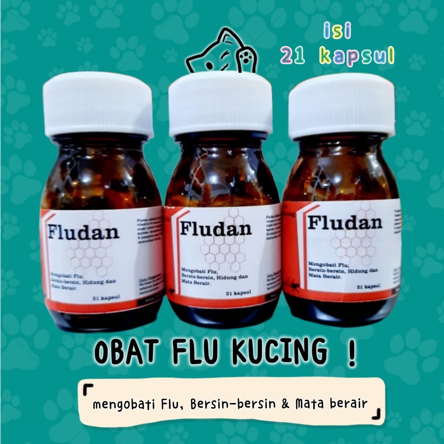 Jual Fludan Obat Flu Pilek Kucing Cat Ampuh | Shopee Indonesia