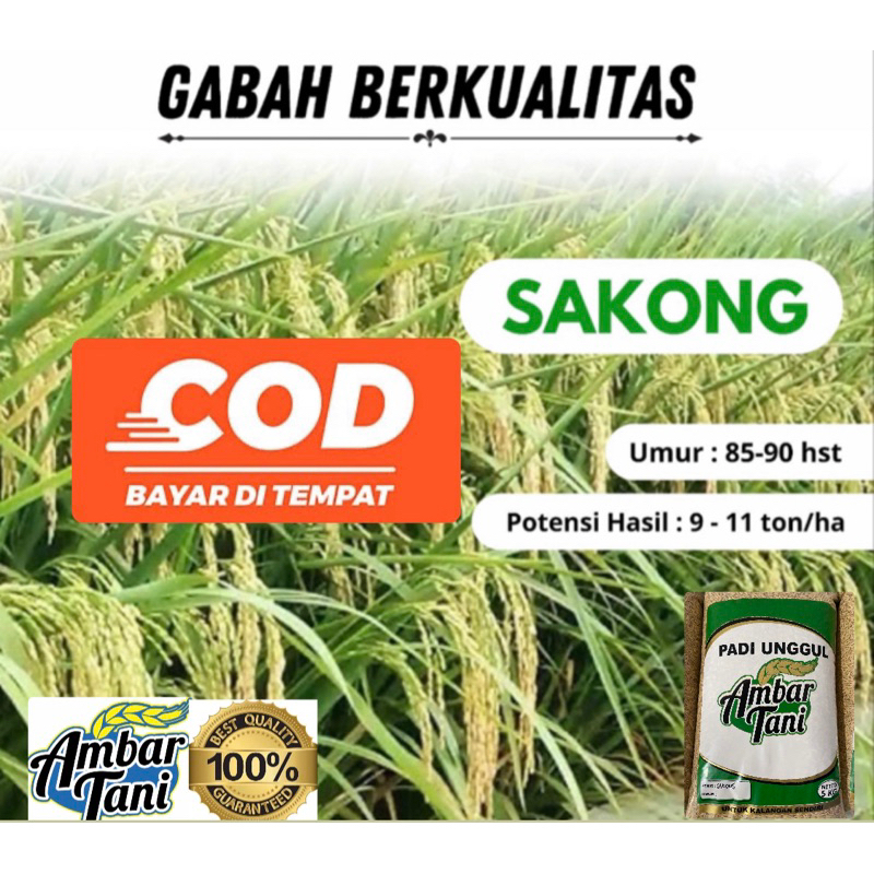 Jual Bibit Benih Padi Unggul Sakong kemasan 1 kg | Shopee Indonesia