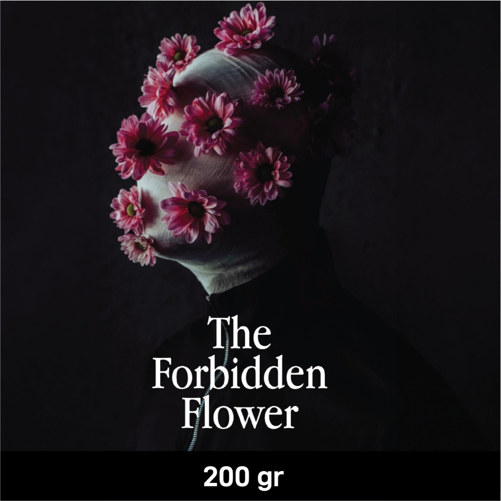 Jual Space Roastery Forbidden Flower- Filter Blend (200gr) specialty ...