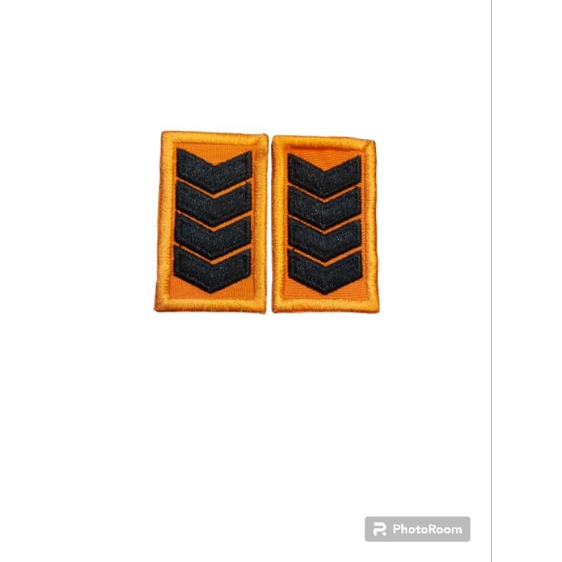 Jual BORDIRAN PANGKAT PDL BASARNAS GOLONGAN IID | Shopee Indonesia