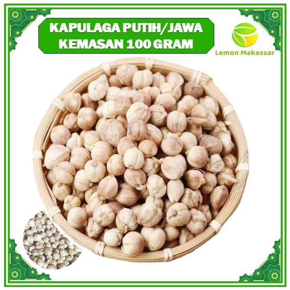 Jual Kapulaga putih kapulaga Jawa lokal 100 gram | Shopee Indonesia