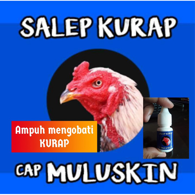 Jual MULUSKIN solusi ayam kurapan (kurap) | Shopee Indonesia