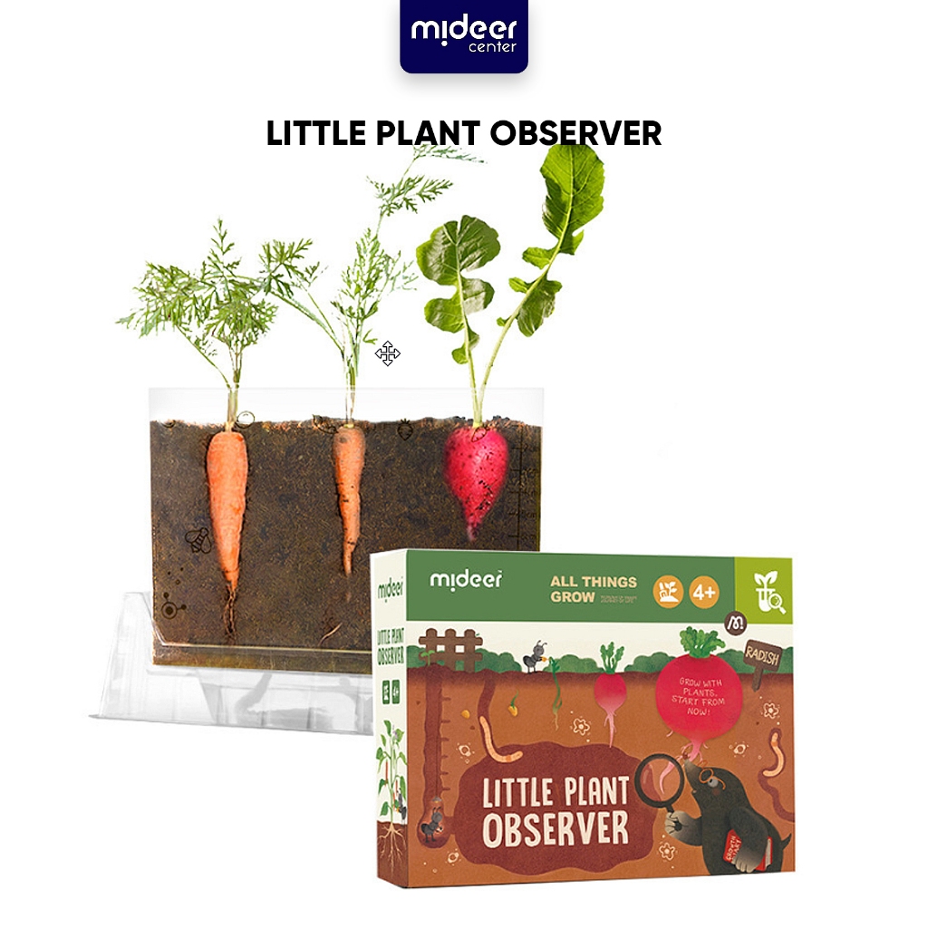 Jual Mideer Little Plant Observer Mainan Observasi Anak | Shopee Indonesia