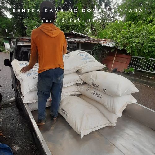 Jual Bran Pollard Mix Pakan Ternak 1kg Bekasi | Shopee Indonesia