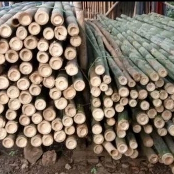 Jual BAMBU STEGER 6 METER LEBAR 8 CM | Shopee Indonesia