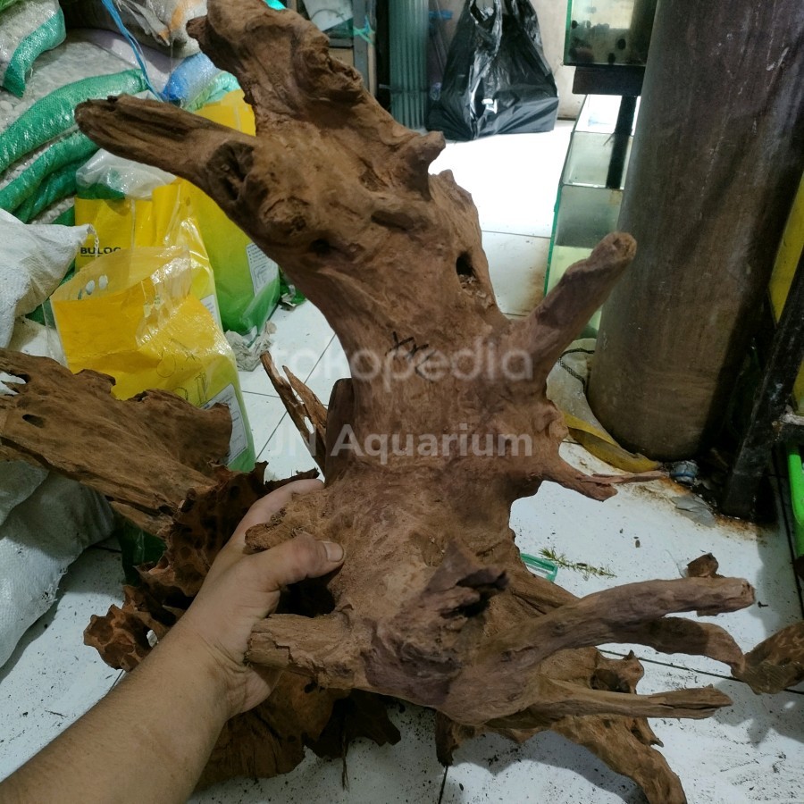 Jual Akar Kayu Rentek Hiasan Aquarium Aquascape Kolam Uk XXL | Shopee ...