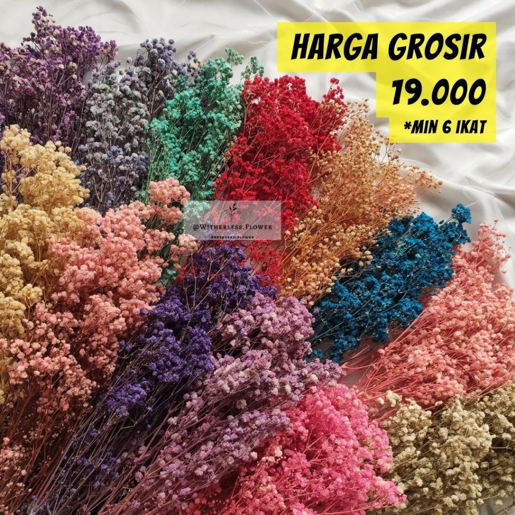 Jual 25 gr Preserved Baby Breath / Dried Flower Awetan / Bunga Kering ...