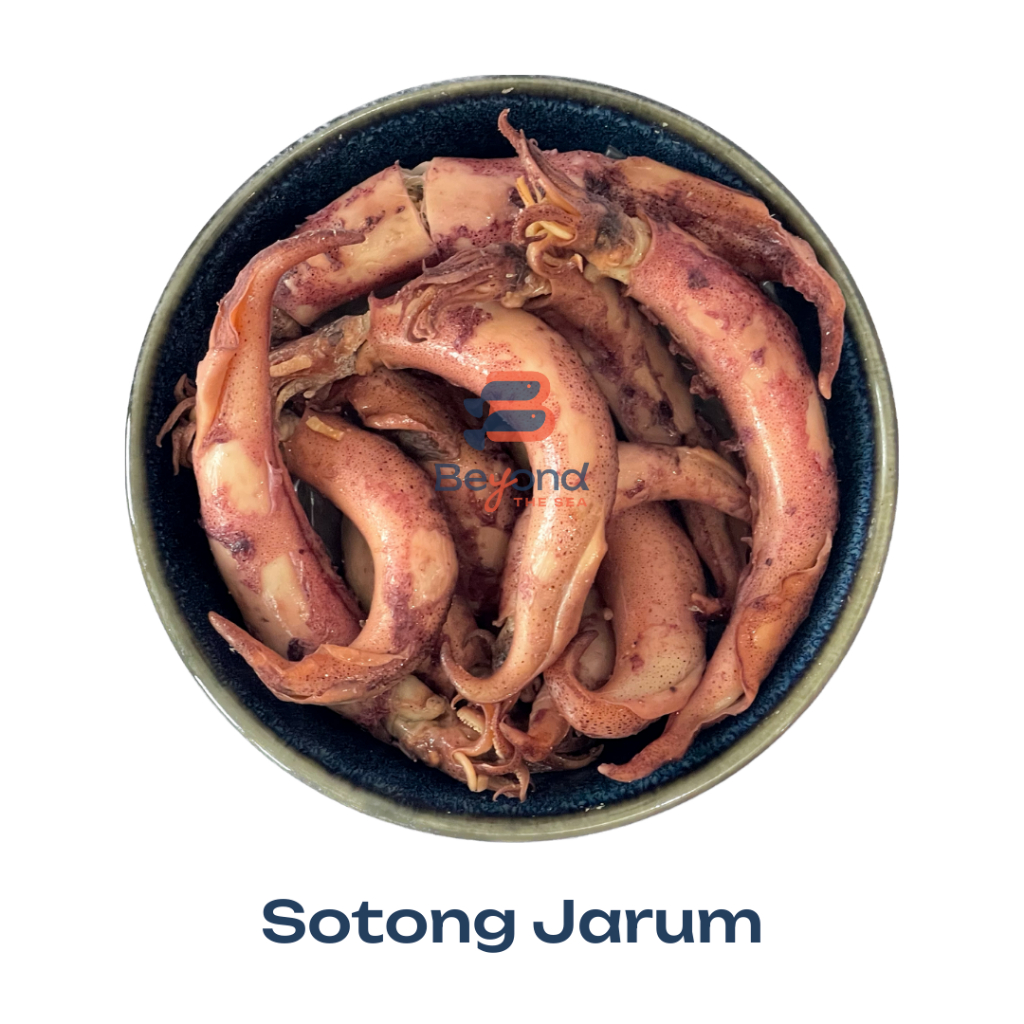 Jual Cumi/Sotong Jarum (100Gr) | beyondthesea | Shopee Indonesia