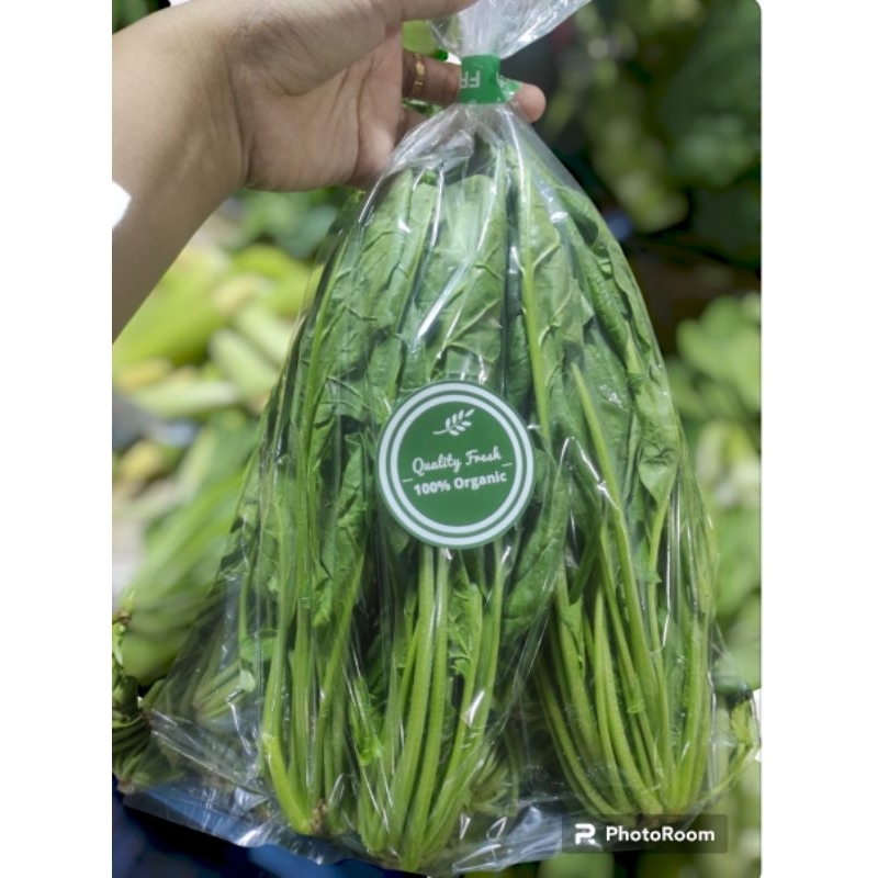 Jual SAYUR HORENSO ORGANIK PER PACK / POLING ORGANIK / POCHAI / BAYAM ...