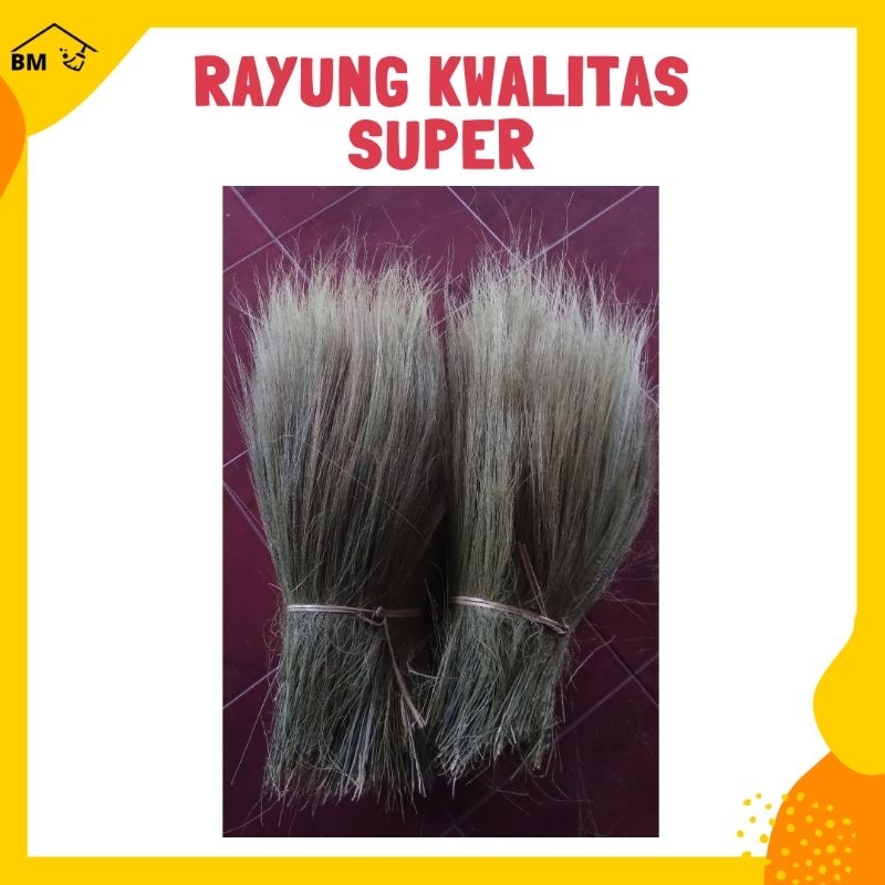 Jual RAYUNG || BAHAN SAPU || RUMPUT GELAGAH KERING | Shopee Indonesia