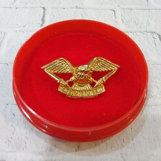Jual NA WING RAJAWALI / NA BREVET RAJAWALI PEMBURU | Shopee Indonesia