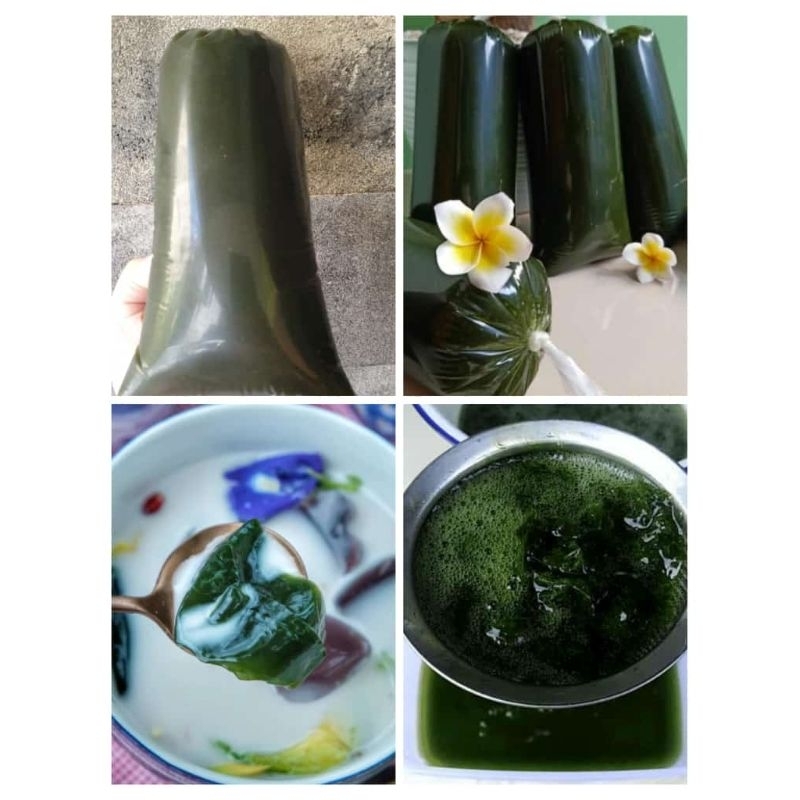 Jual daluman komplit / cincau hijau kemasan 1 kg | Shopee Indonesia