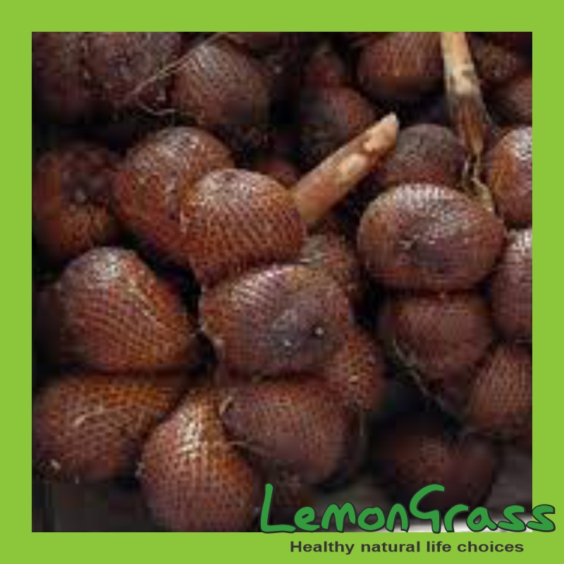 Jual Salak Gula Bali 1 Kg Asli 100% Oleh Oleh Khas Bali | Shopee Indonesia
