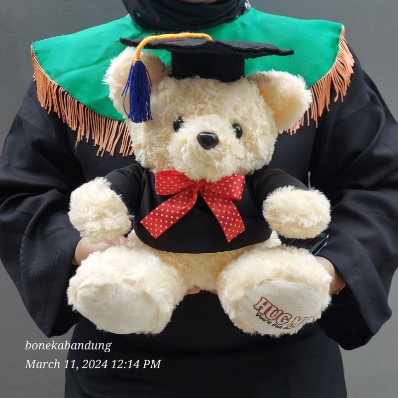 Jual boneka bandung boneka wisuda gemuk 30cm bulu classic | Shopee ...