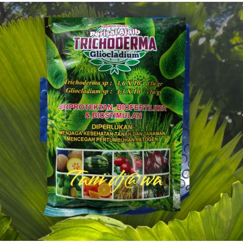 Jual TRICHODERMA Gliocladium 500 gram | Shopee Indonesia