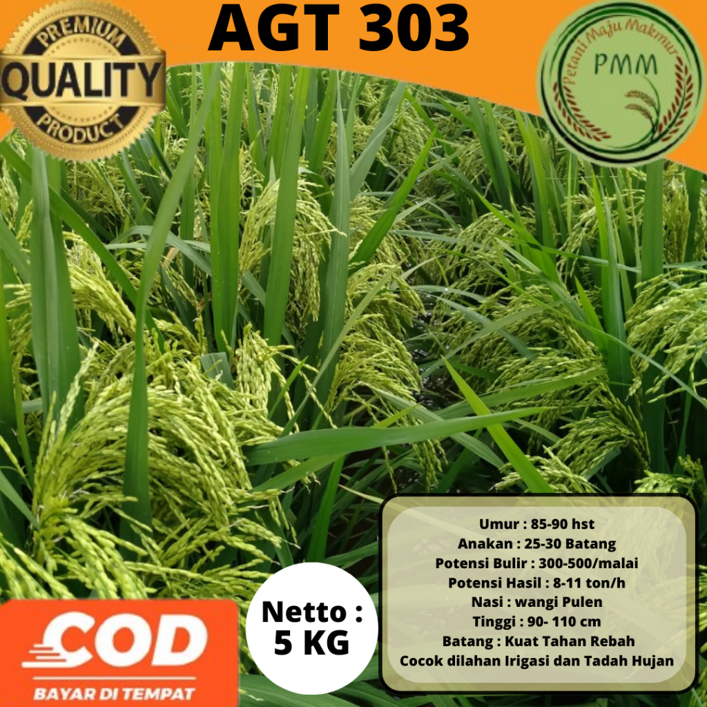 Jual Biji Padi Unggul AGT 303 5KG | Shopee Indonesia