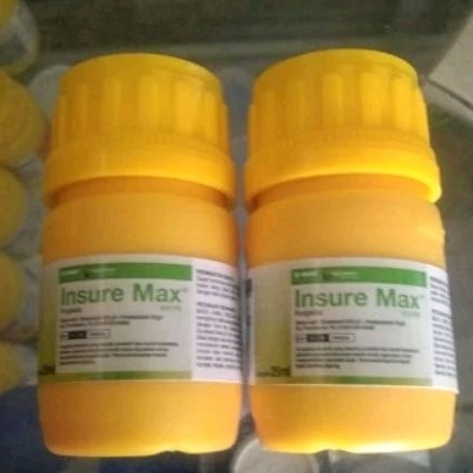 Jual Fungisida Insure Max 510 FS - 25 ML // Pengendali Bulai ...