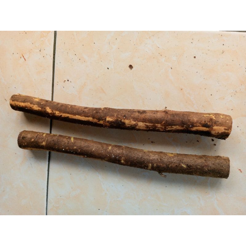 Jual kayu senggani jumbo aquascape | Shopee Indonesia